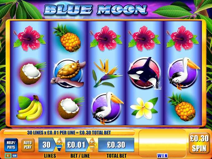 Blue Moon Slot review from WMS