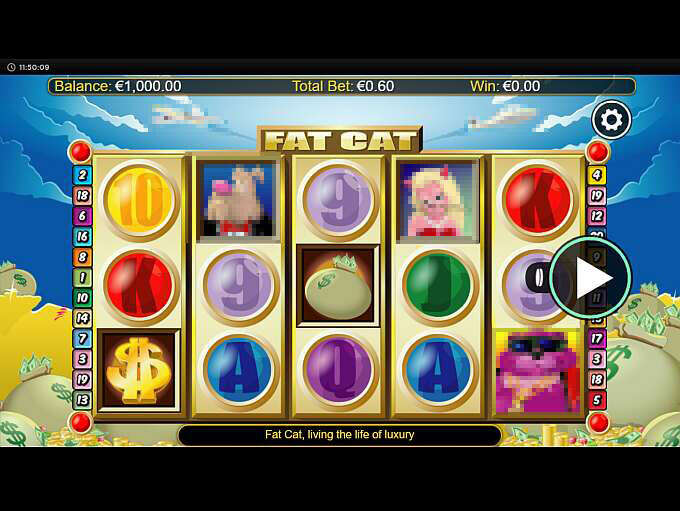 Fat Cat Slot review from Cryptologic