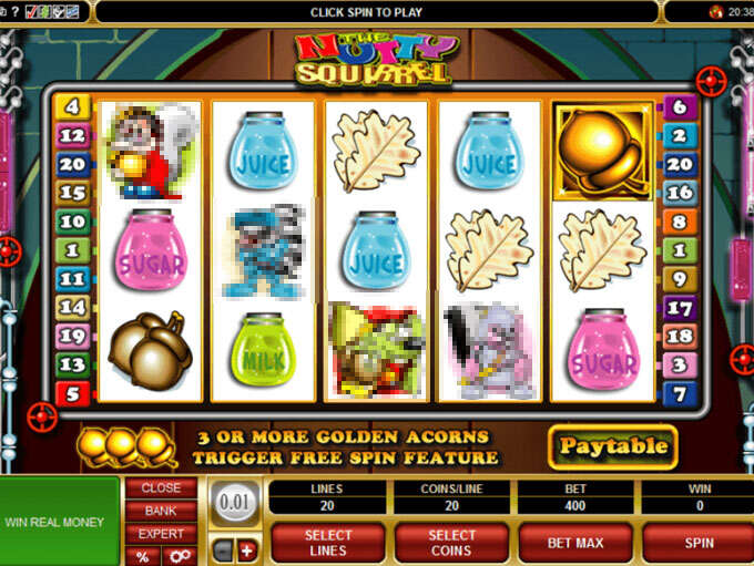 Nutty Squirrel Slot review from MicroGaming