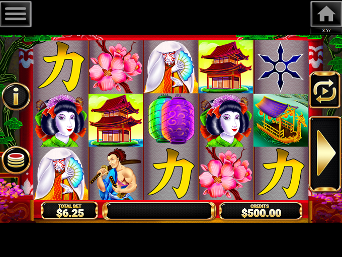 Matsuri