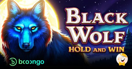 Booongo Launched Black Wolf: Hold and Win Slot